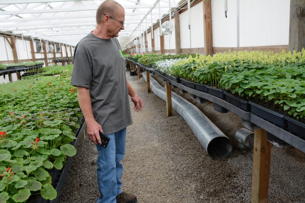 Bulk House Flowers; new business In Lewisport - The Hancock Clarion